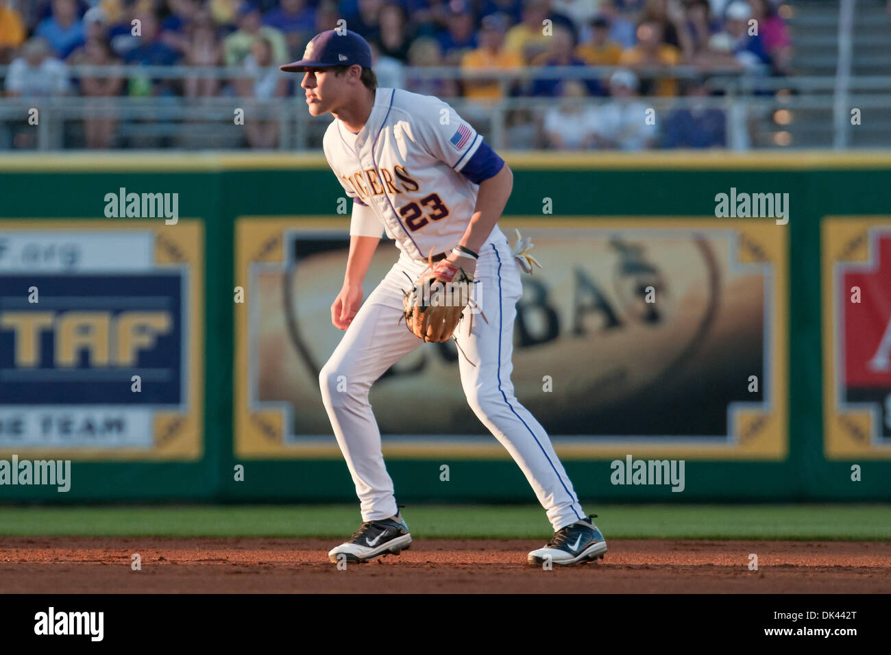 Tiger jones hi-res stock photography and images - Alamy