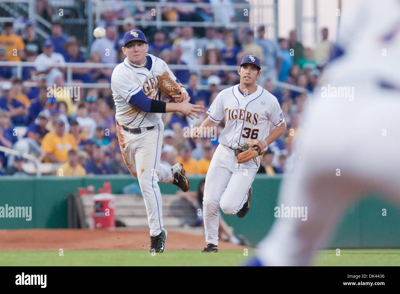 Tyler tiger hi-res stock photography and images - Alamy