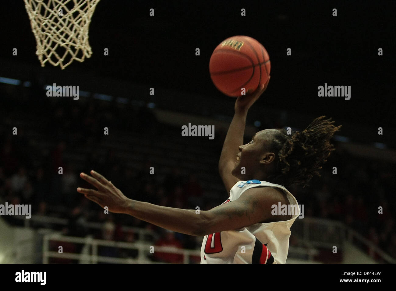 Chynna brown hi-res stock photography and images - Alamy