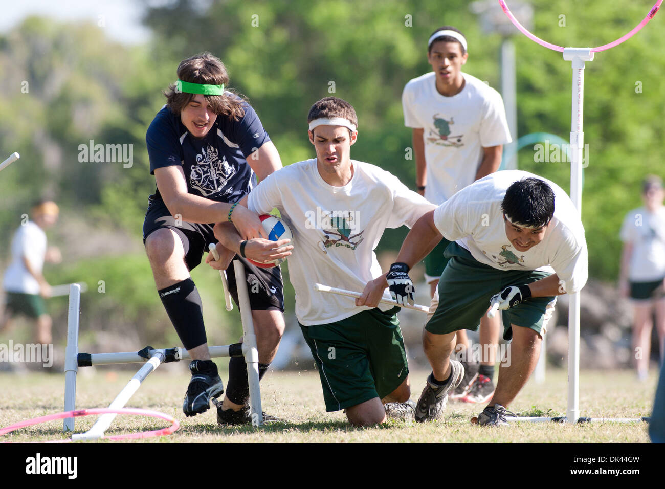 University of florida swamp hi-res stock photography and images - Alamy
