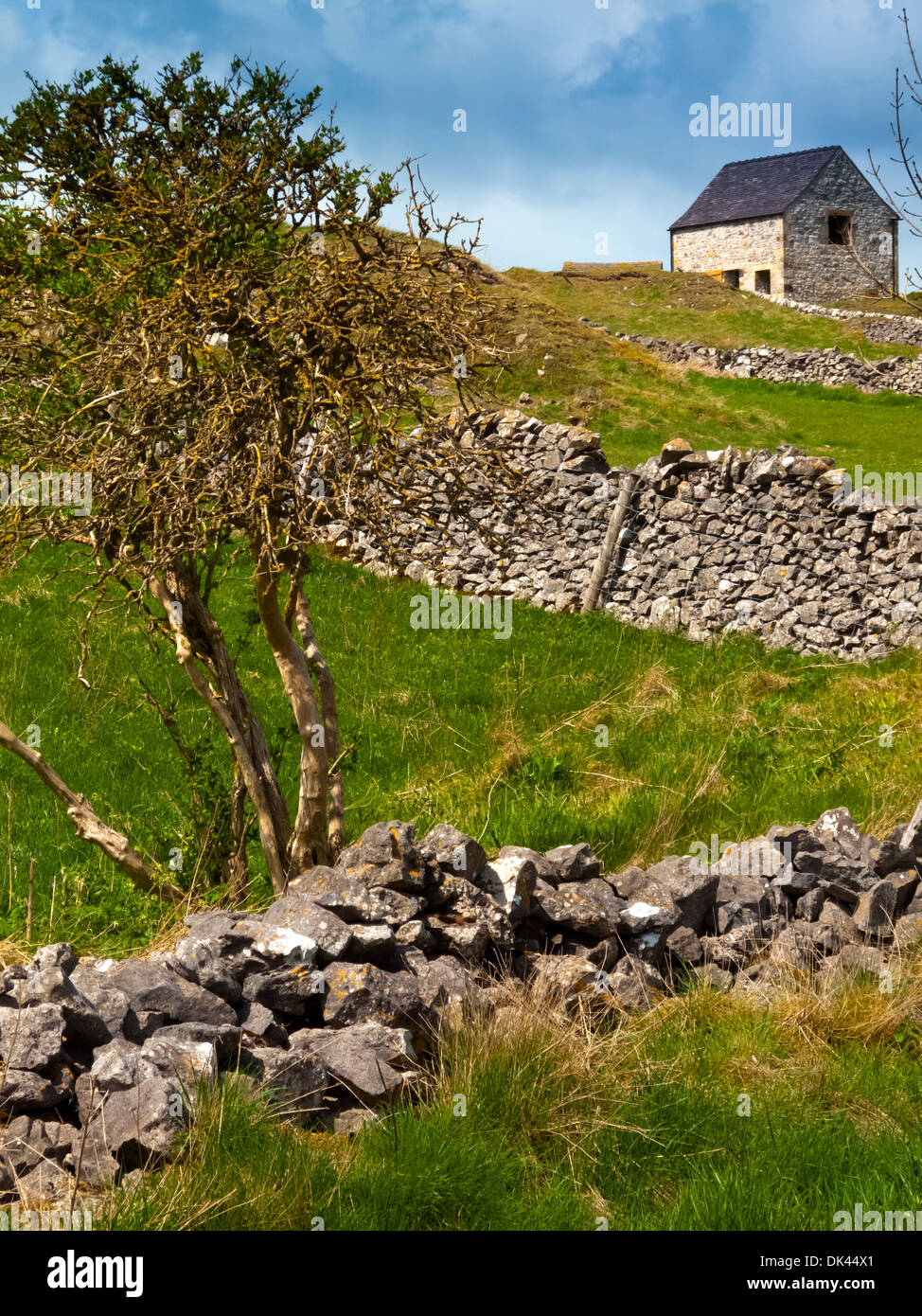 Field barn stone wall hi-res stock photography and images - Alamy