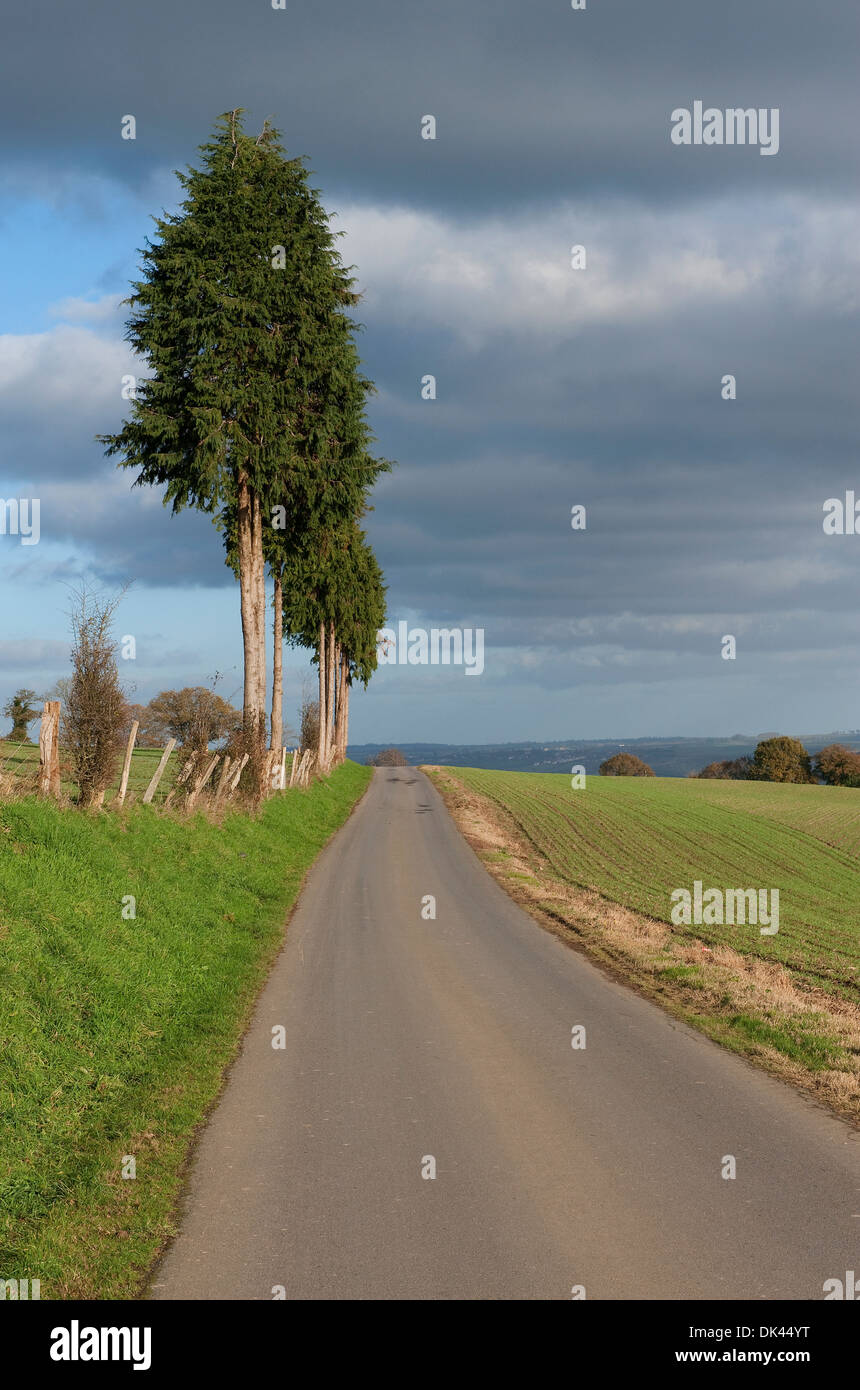 Swiss normandy french hi-res stock photography and images - Alamy