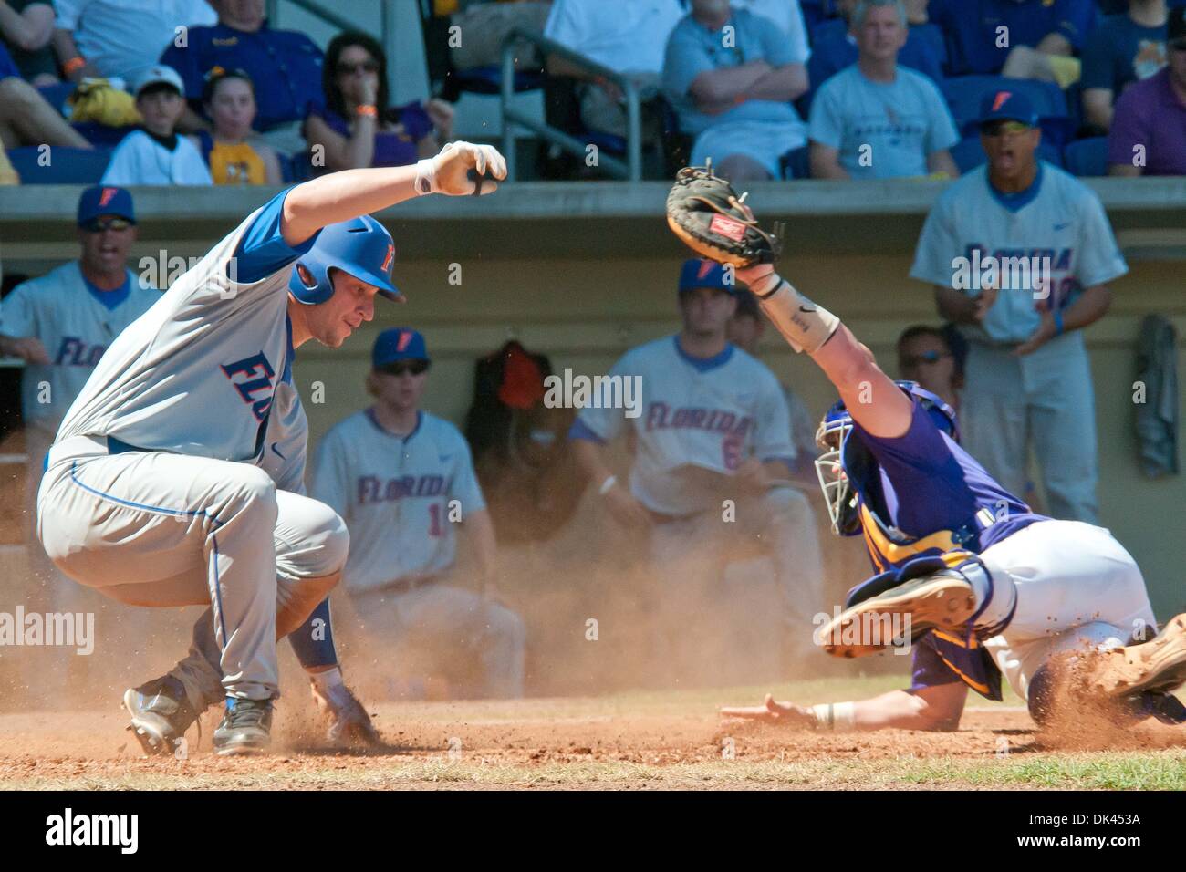 Lsu mike the tiger hi-res stock photography and images - Alamy