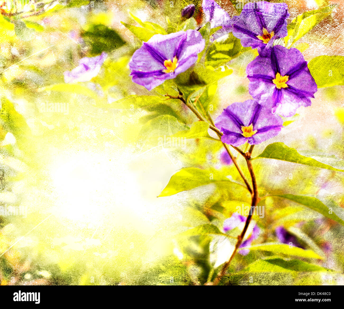 Flower backgrond , spring bloom Stock Photo - Alamy