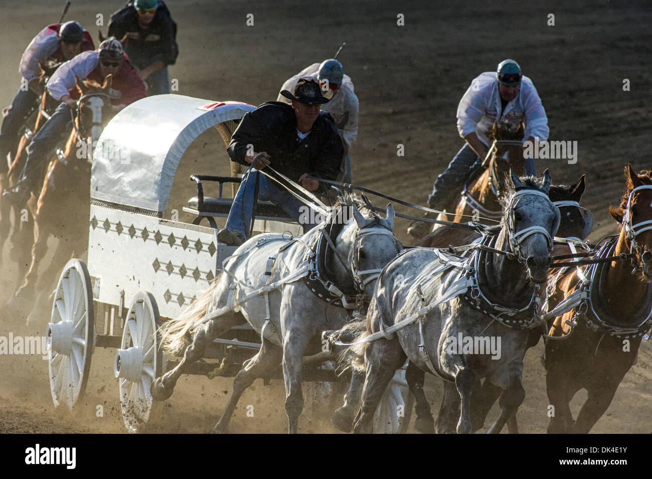 Calgary stampede canada chuck wagon hi-res stock photography and images ...