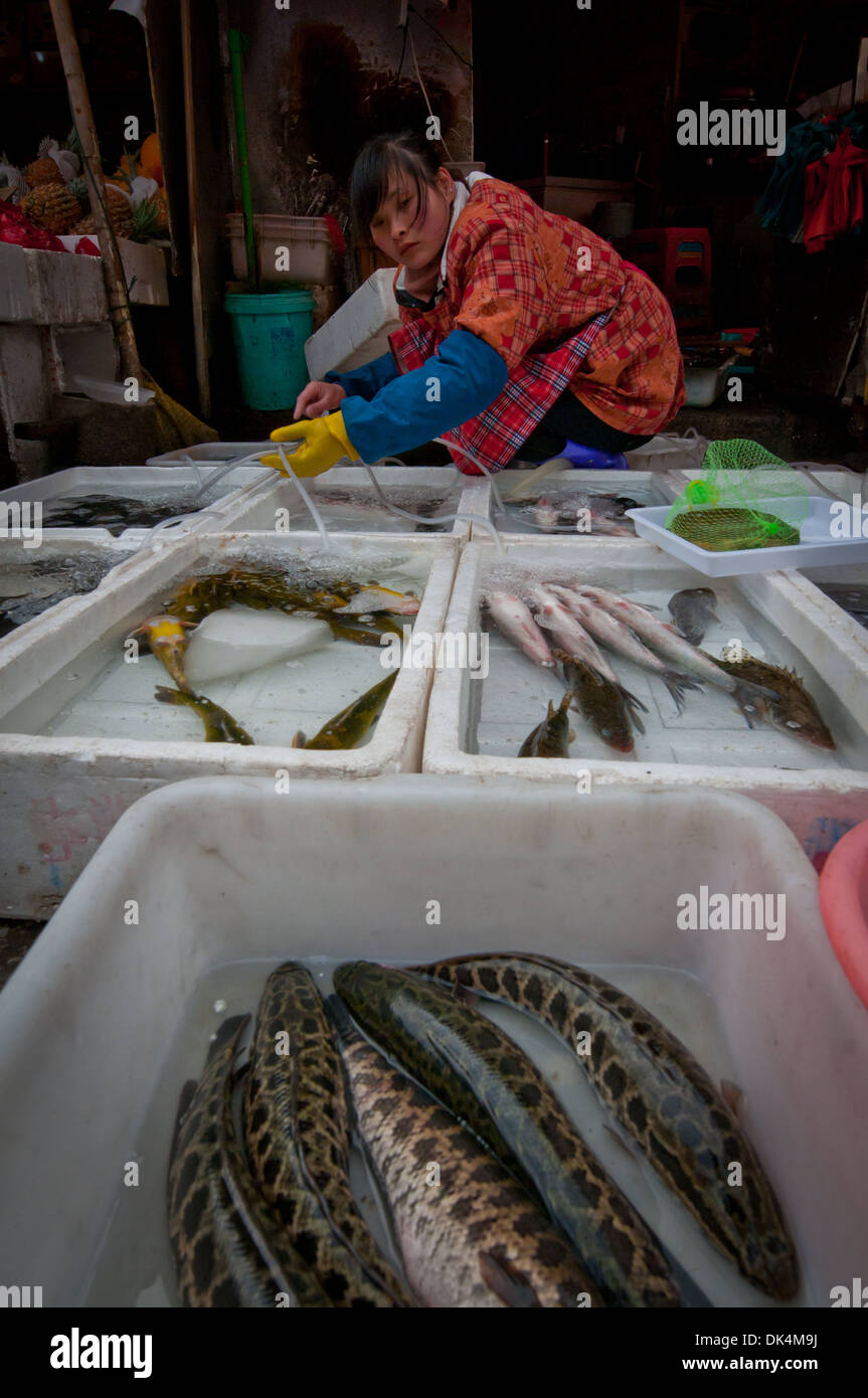 fresh fishes food market in Old Town (Nanshi), Shanghai, China Stock ...