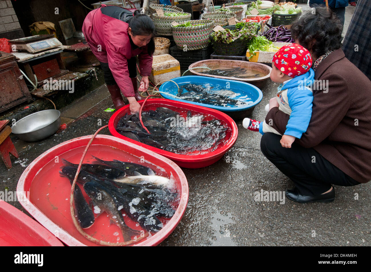 Fresh fishes at food market in Old Town (Nanshi), Shanghai, China Stock ...