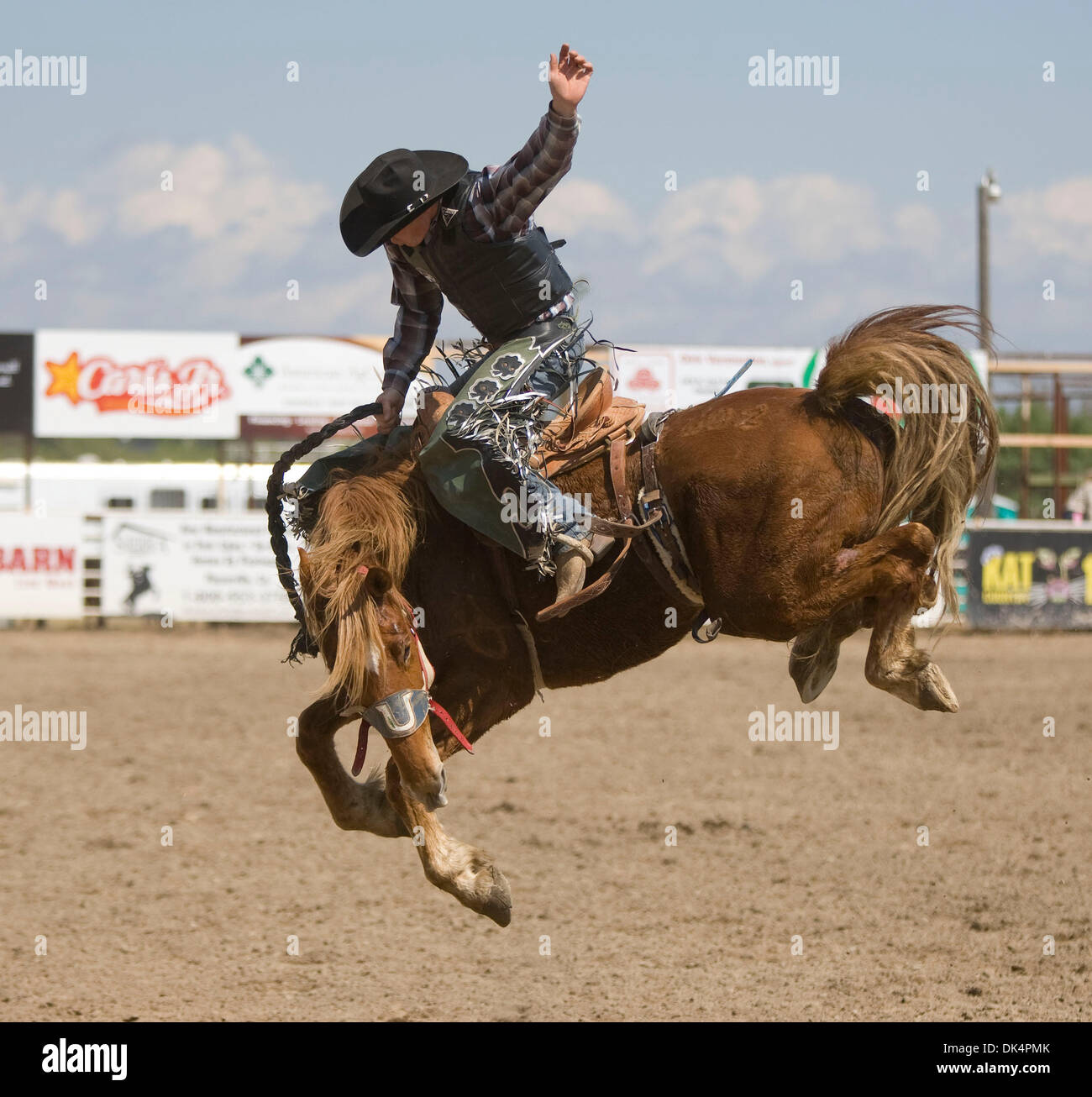 Jess williams hi-res stock photography and images - Alamy