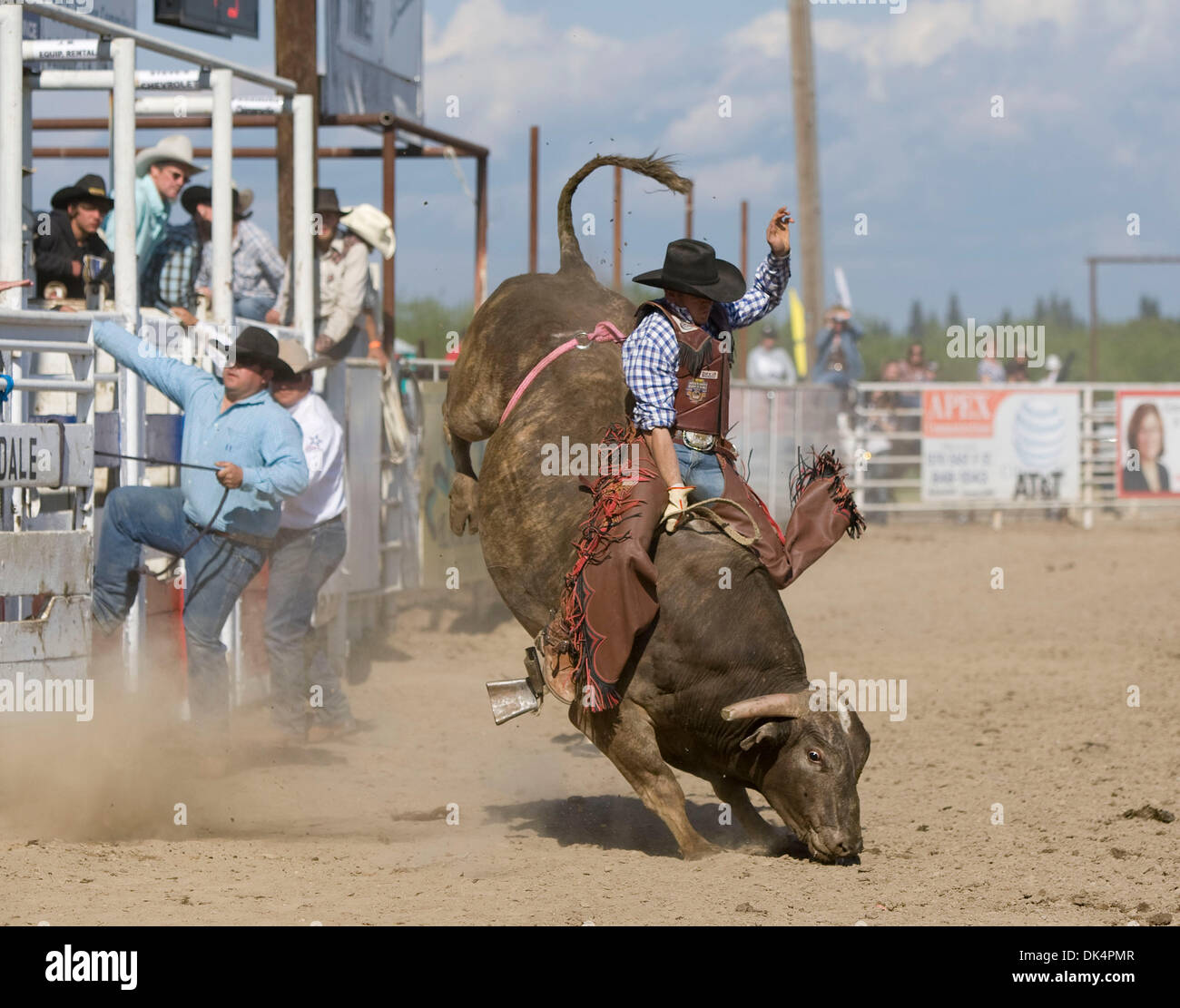 Jay riding hi-res stock photography and images - Alamy
