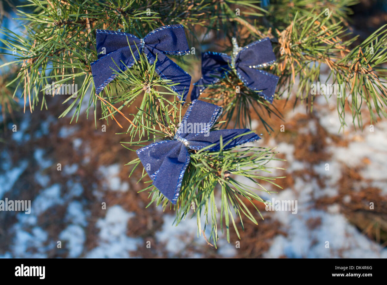 Ornament branch hi-res stock photography and images - Alamy