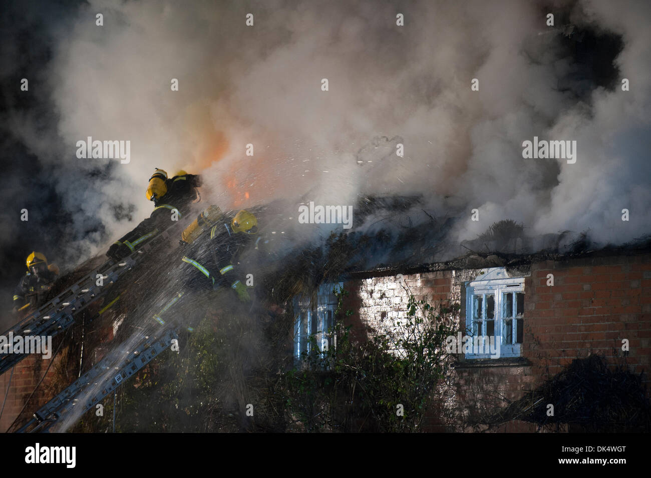 Brockenhurst, New Forest, Hampshire, UK. 2nd December 2013 ...