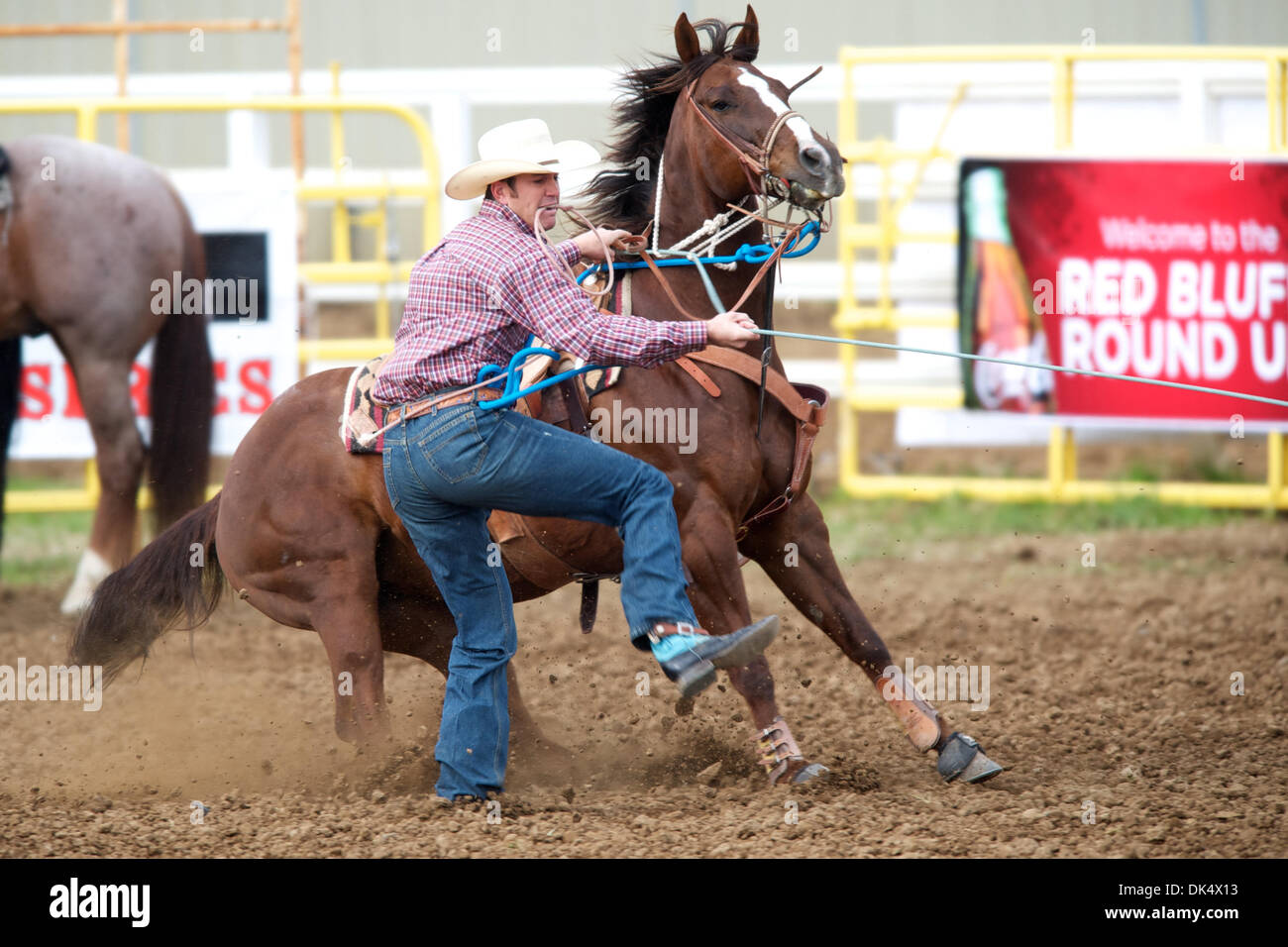 Apr. 15, 2011 - Red Bluff, California, U.S - Rhen Richard of Roosevelt ...