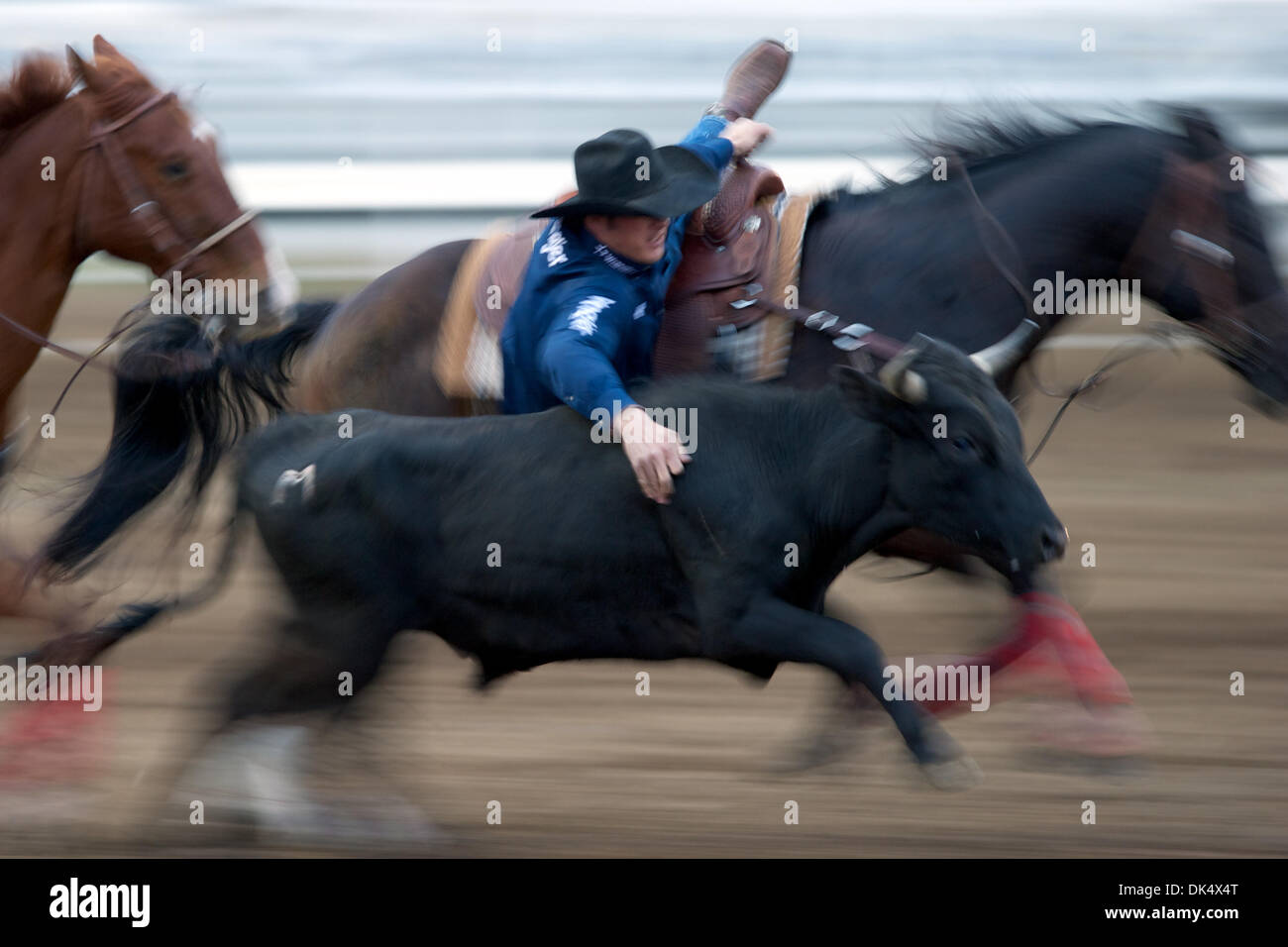 Apr. 15, 2011 - Red Bluff, California, U.S - Steer wrestler Trevor ...
