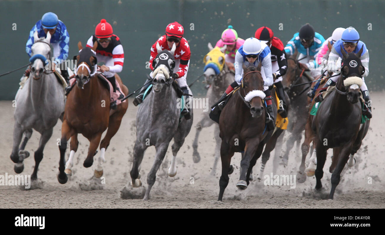 Juyl 20, 2011 - Del Mar, California, U.S. - Horses in the round the ...