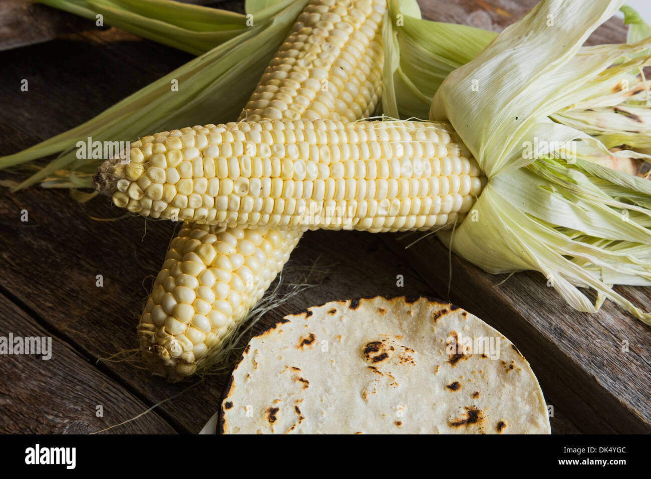 Ears of corn and corn tortillas Stock Photo - Alamy