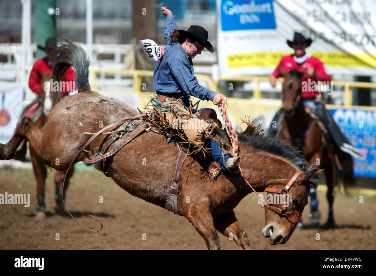 Matt haughton hi-res stock photography and images - Alamy