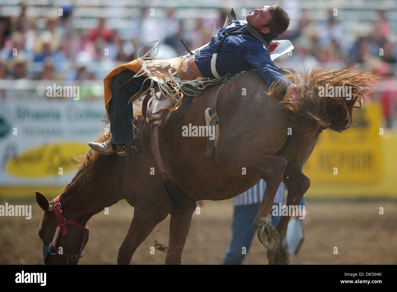 Casey cohen hi-res stock photography and images - Alamy