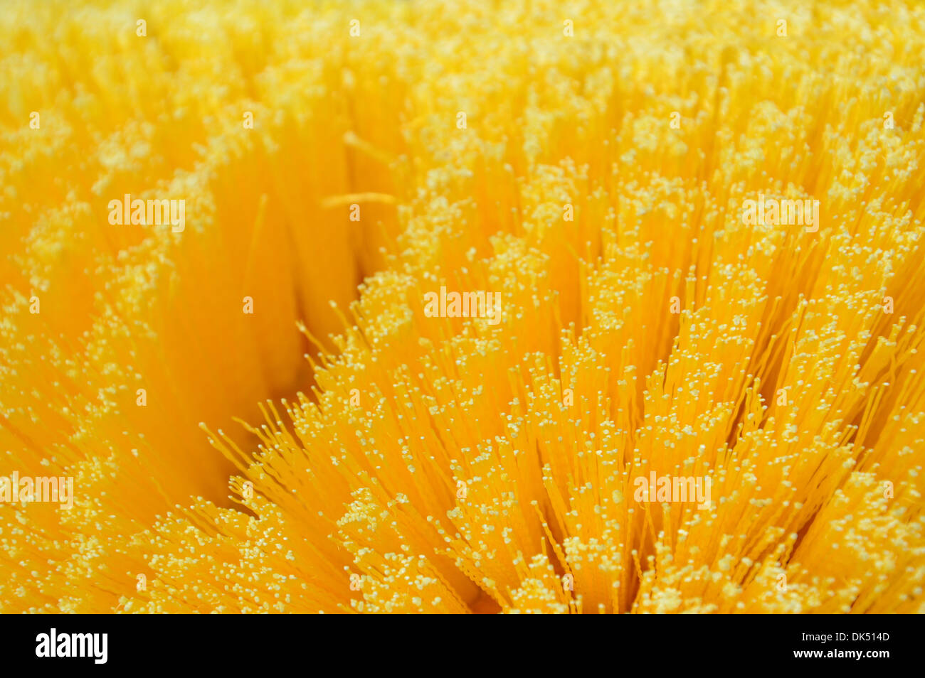 M neat hi-res stock photography and images - Alamy