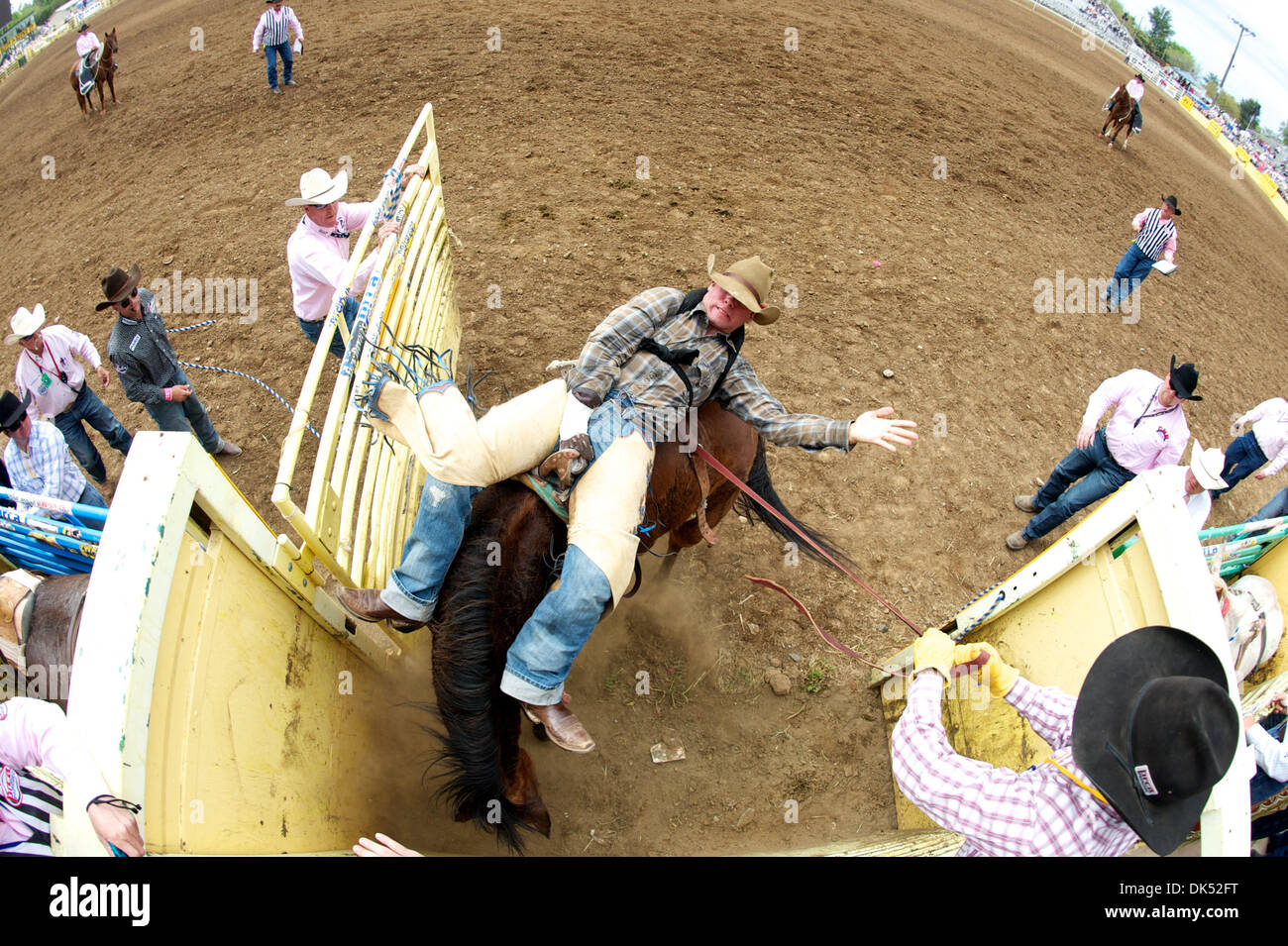 Apr. 17, 2011 - Red Bluff, California, U.S - Luke Creasy of Brownfield ...