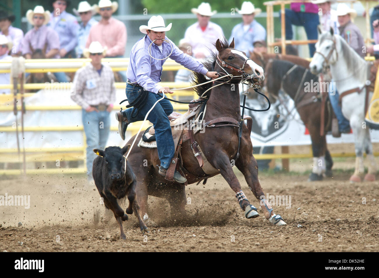 Shiozawa hi-res stock photography and images - Alamy