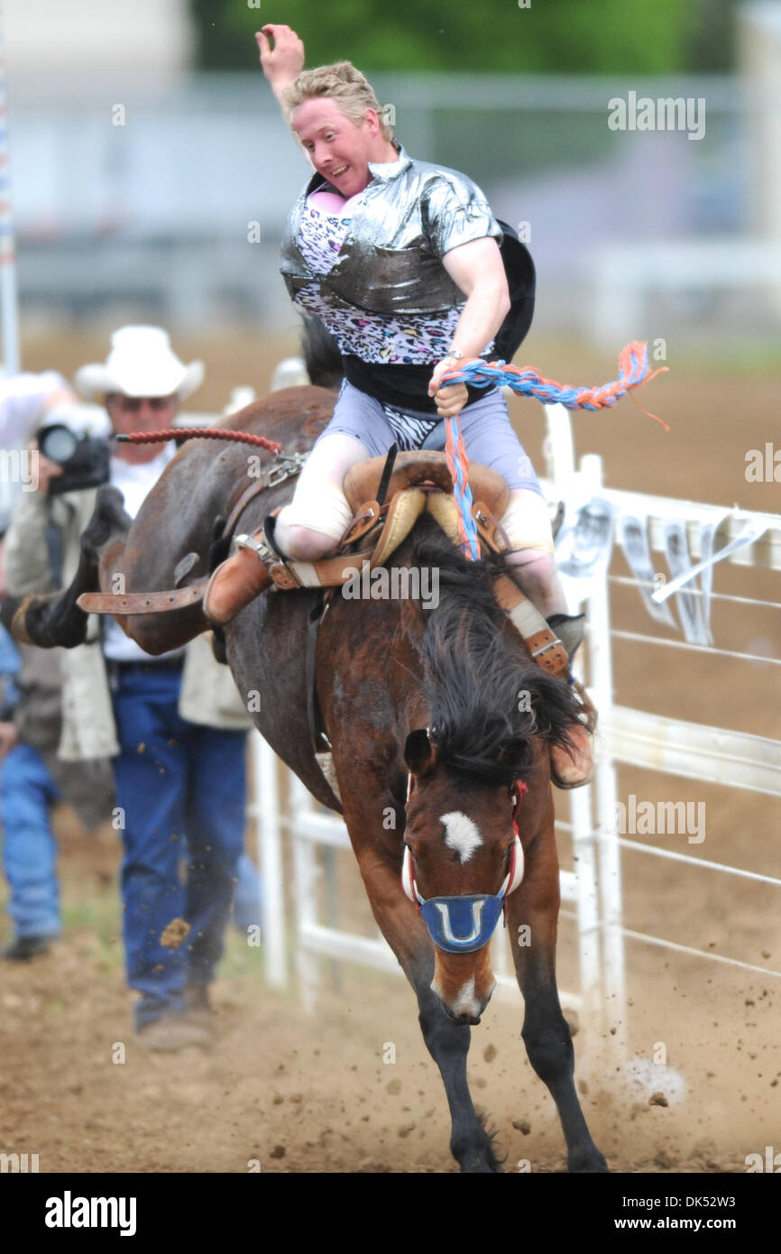 Matt ryan horse hi-res stock photography and images - Alamy