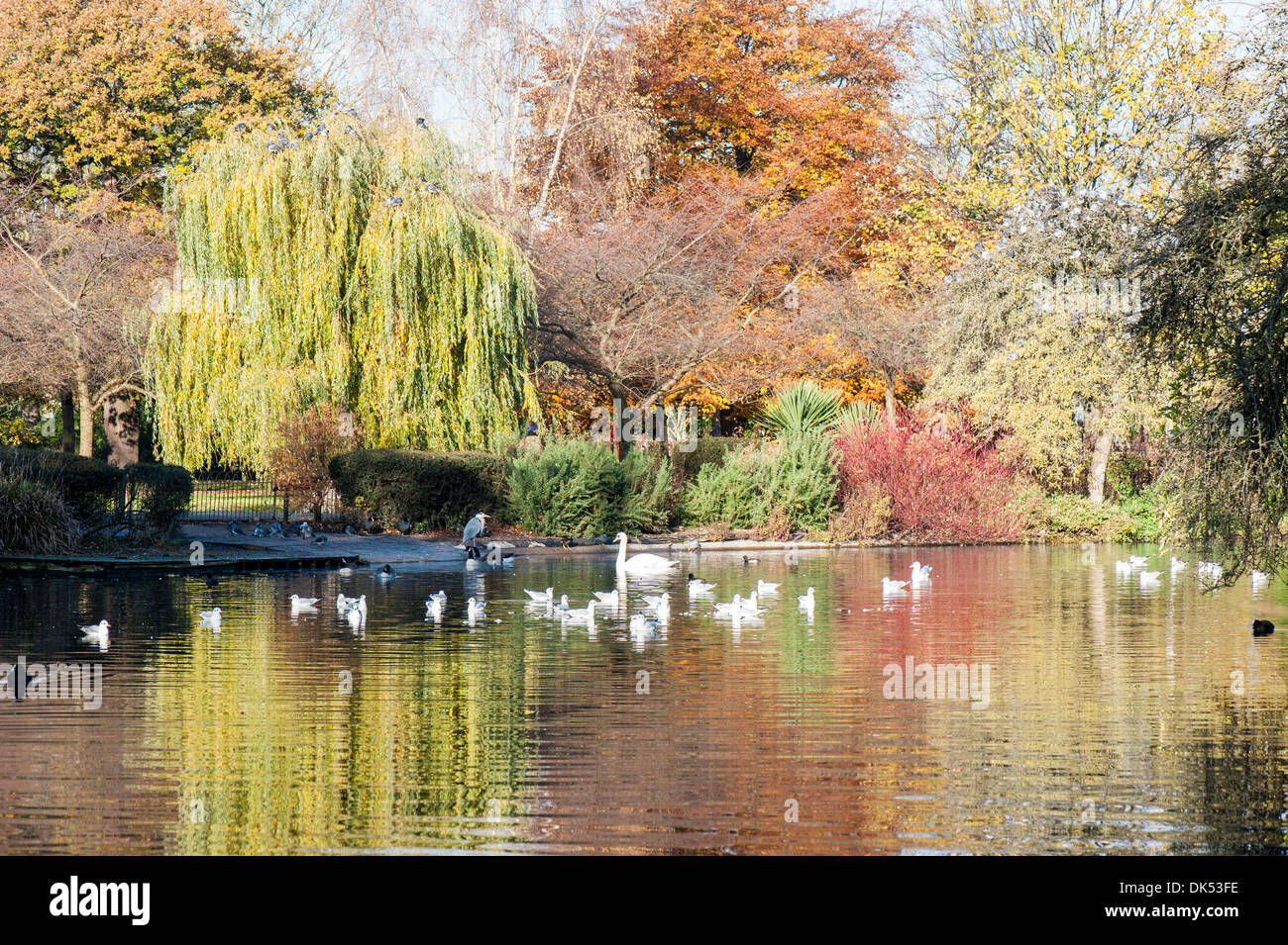 Hammersmith park hi-res stock photography and images - Alamy