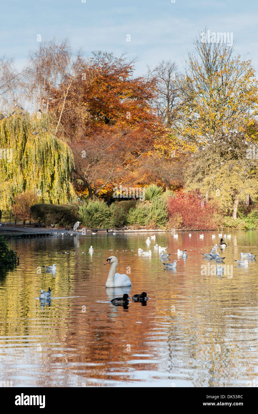 Ravenscourt Park, Hammersmith, London, United Kingdom Stock Photo - Alamy