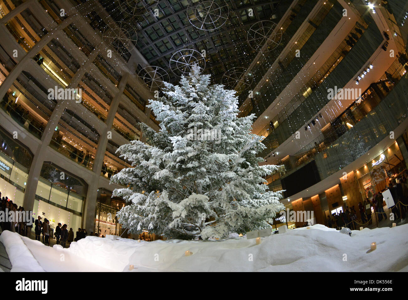 Tokyo, Japan. 2nd December 2013. A Christmas tree, some 47 feet tall ...