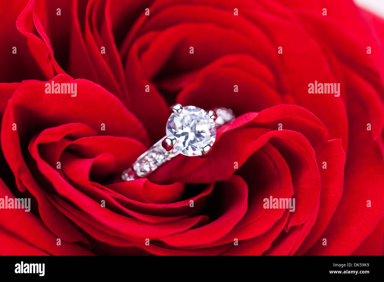 Overhead view of a diamond engagement ring nestling in the heart of a ...