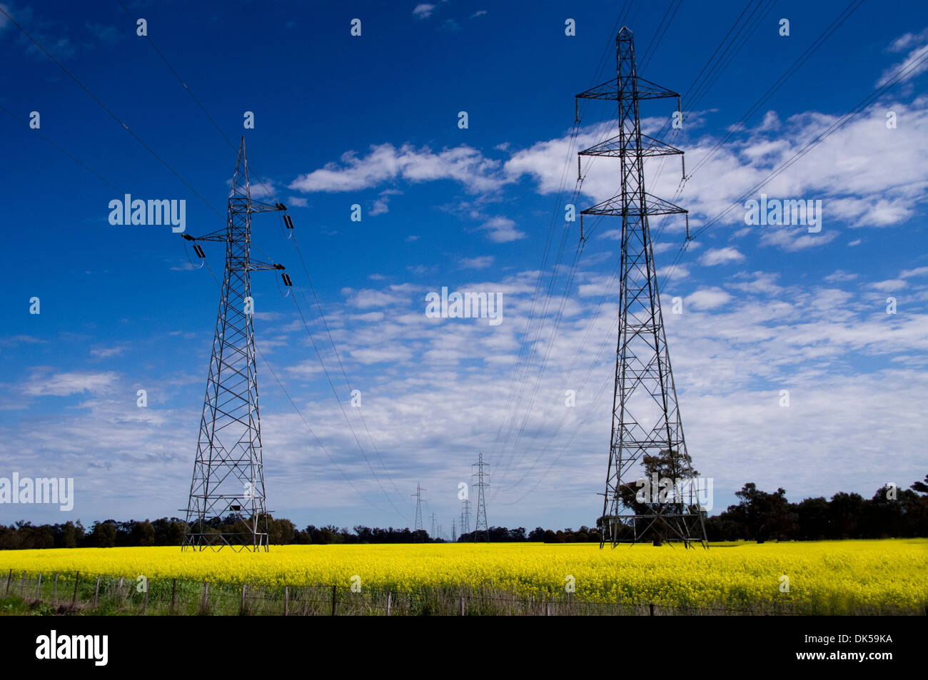 Power lines in country field Stock Photo - Alamy