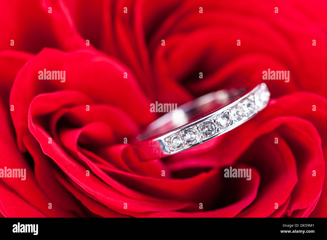 Overhead view of a diamond engagement ring nestling in the heart of a ...