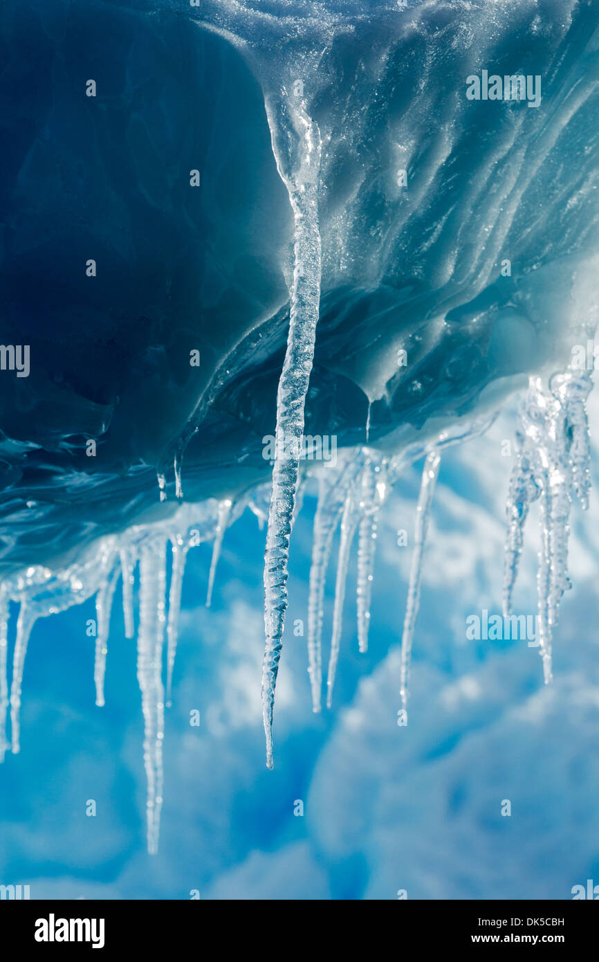 Antarctica, Icicles hang from iceberg floating near Enterprise Island ...
