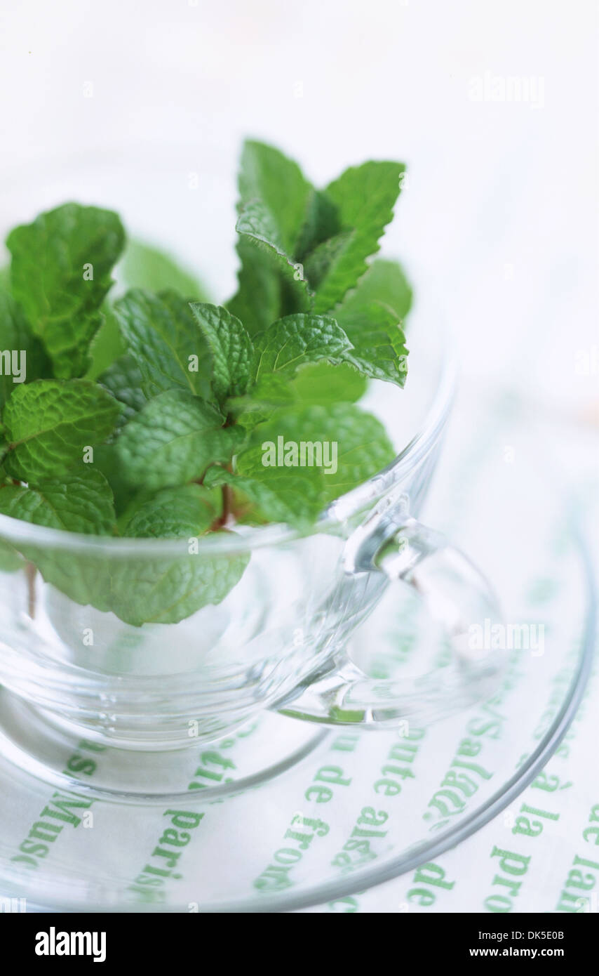 Mint in glass cup Stock Photo - Alamy
