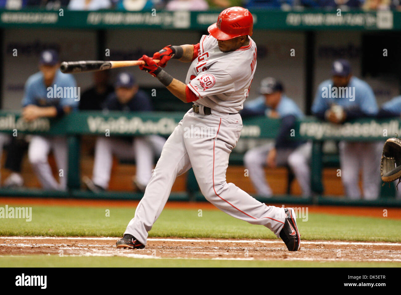 May 1, 2011 - St.Petersburg, Florida, U.S - Los Angeles Angels ...