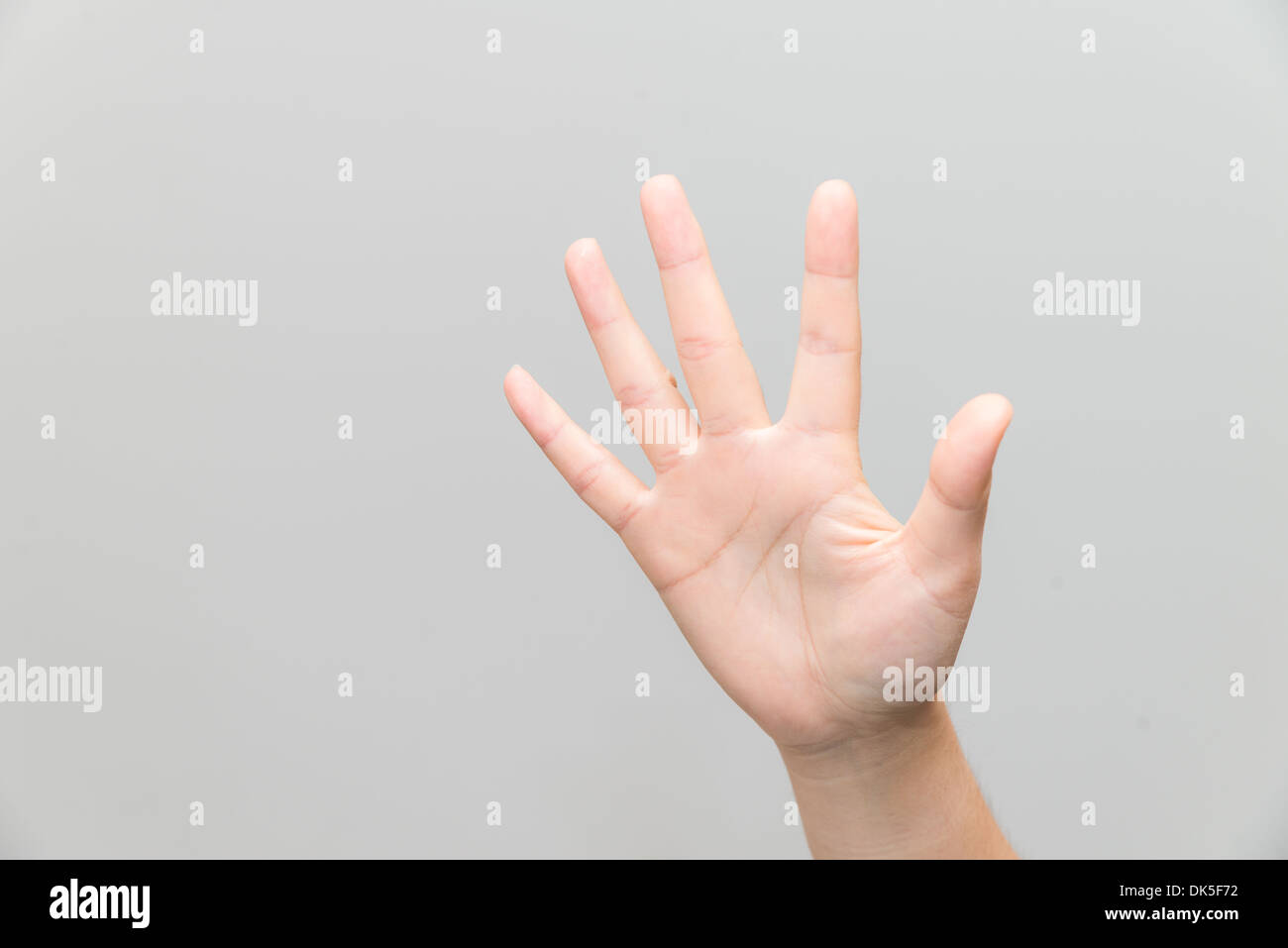 Human hand with open palm light gray background Stock Photo - Alamy