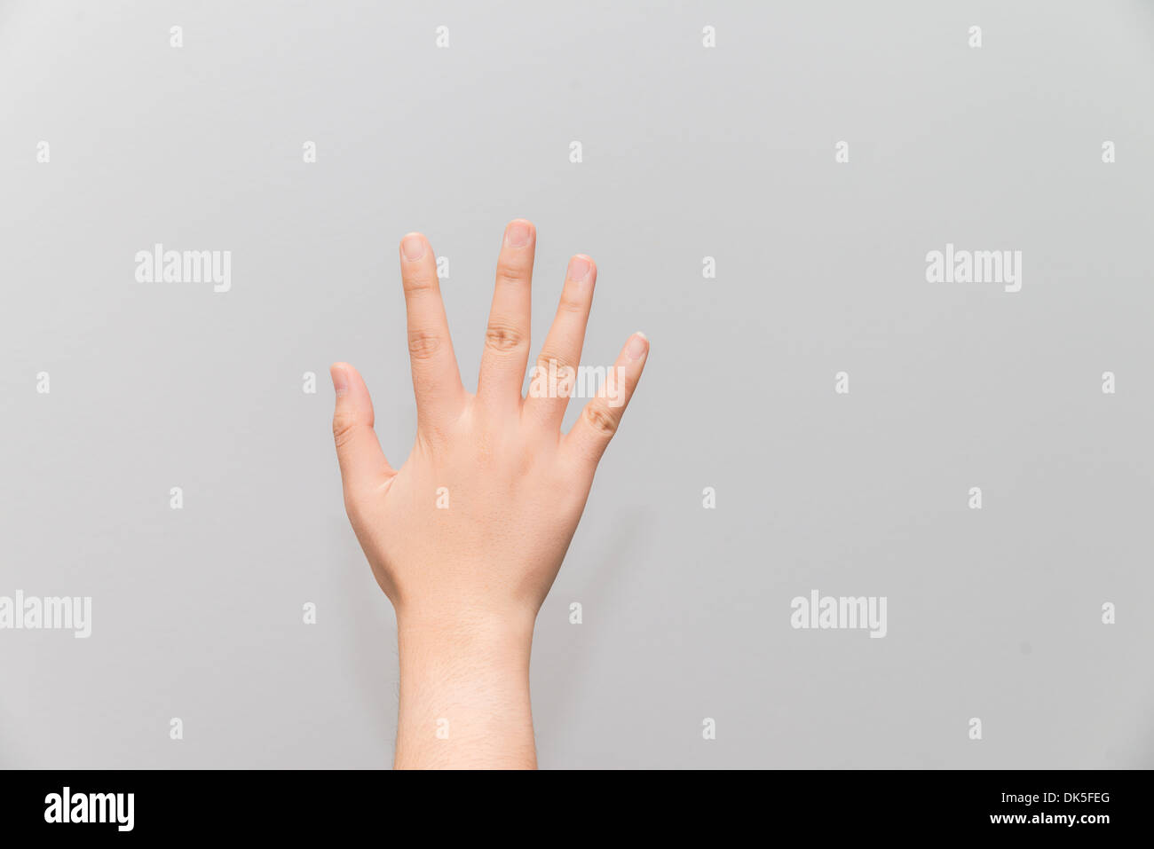 Human hand with open palm light gray background Stock Photo - Alamy