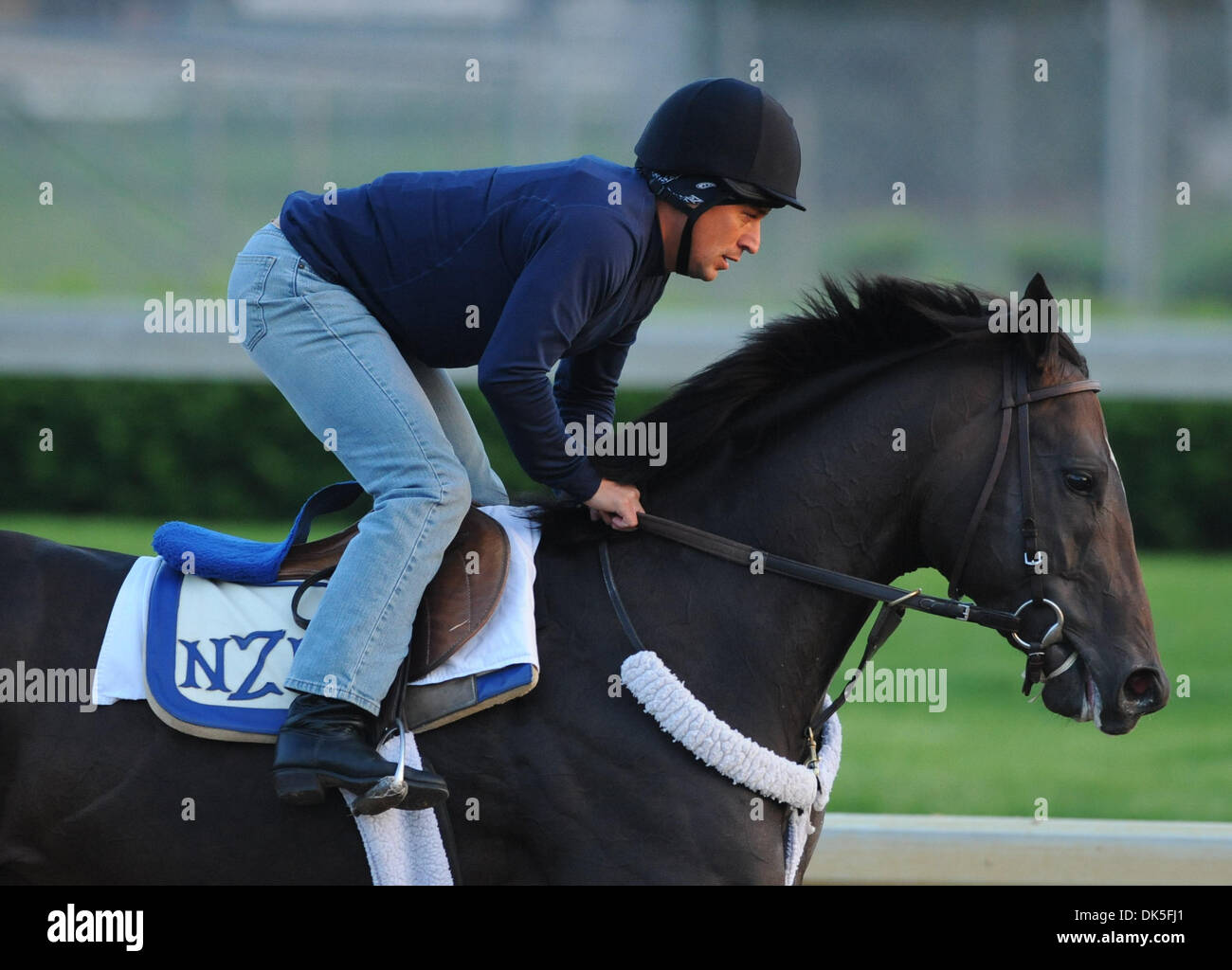 May 4, 2011 - Louisville, Kentucky, U.S. - Dialed In, trained by Nick ...