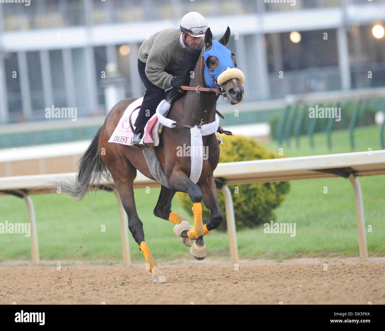 Daisy devine hi-res stock photography and images - Alamy