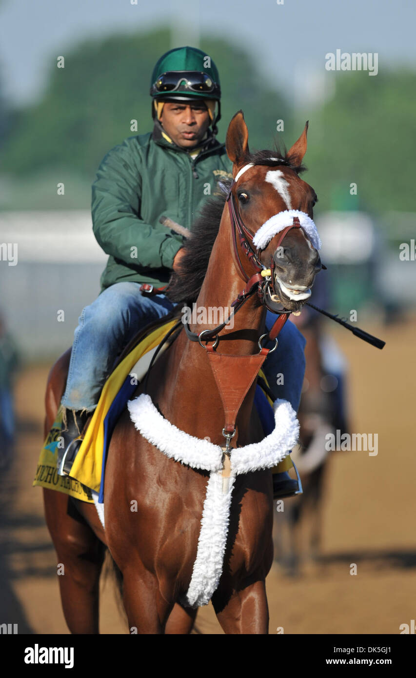 May 5, 2011 - Louisville, Kentucky, U.S. - Mucho Macho Man, trained by ...