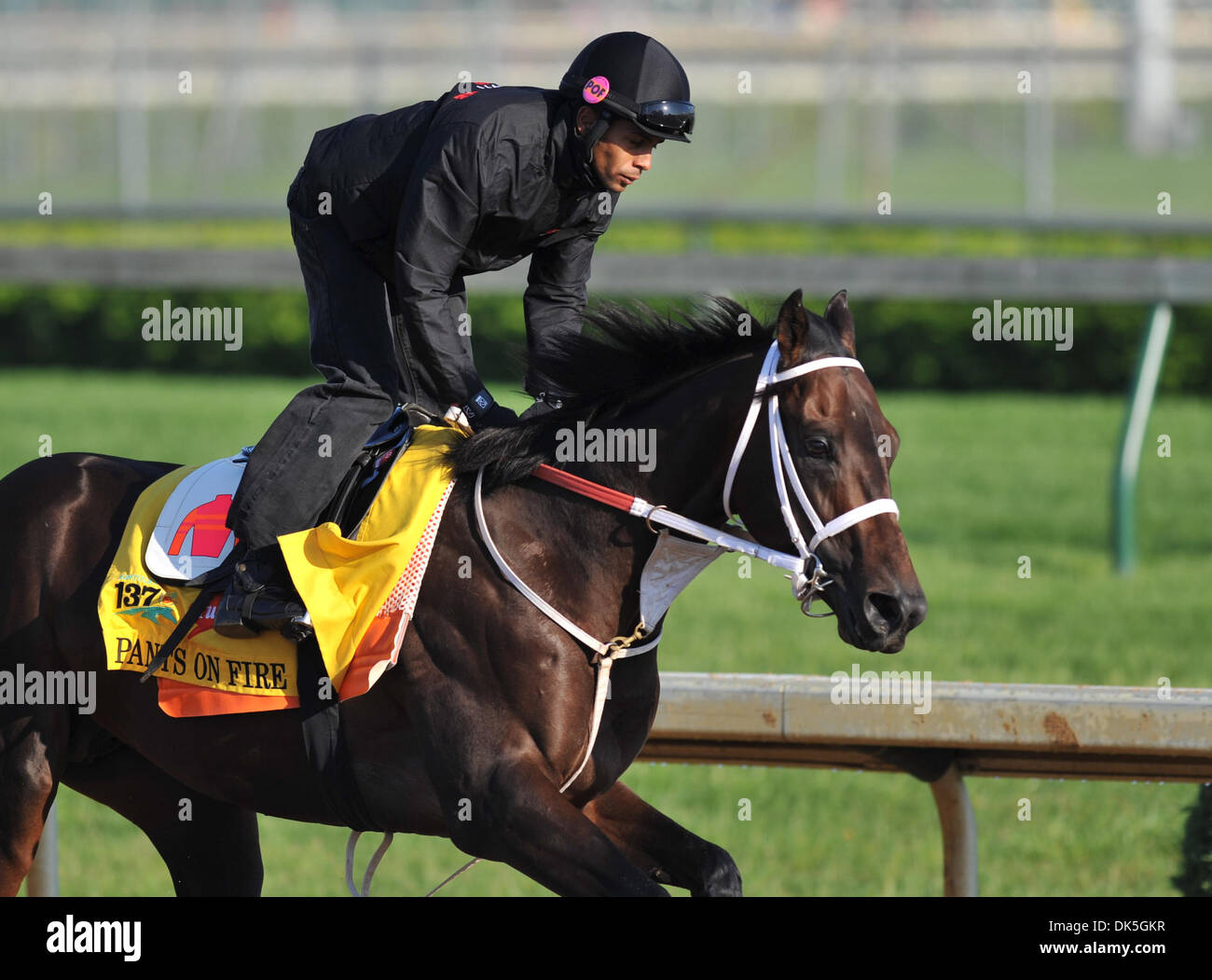 May 5, 2011 - Louisville, Kentucky, U.S. - Pants On Fire, trained by ...