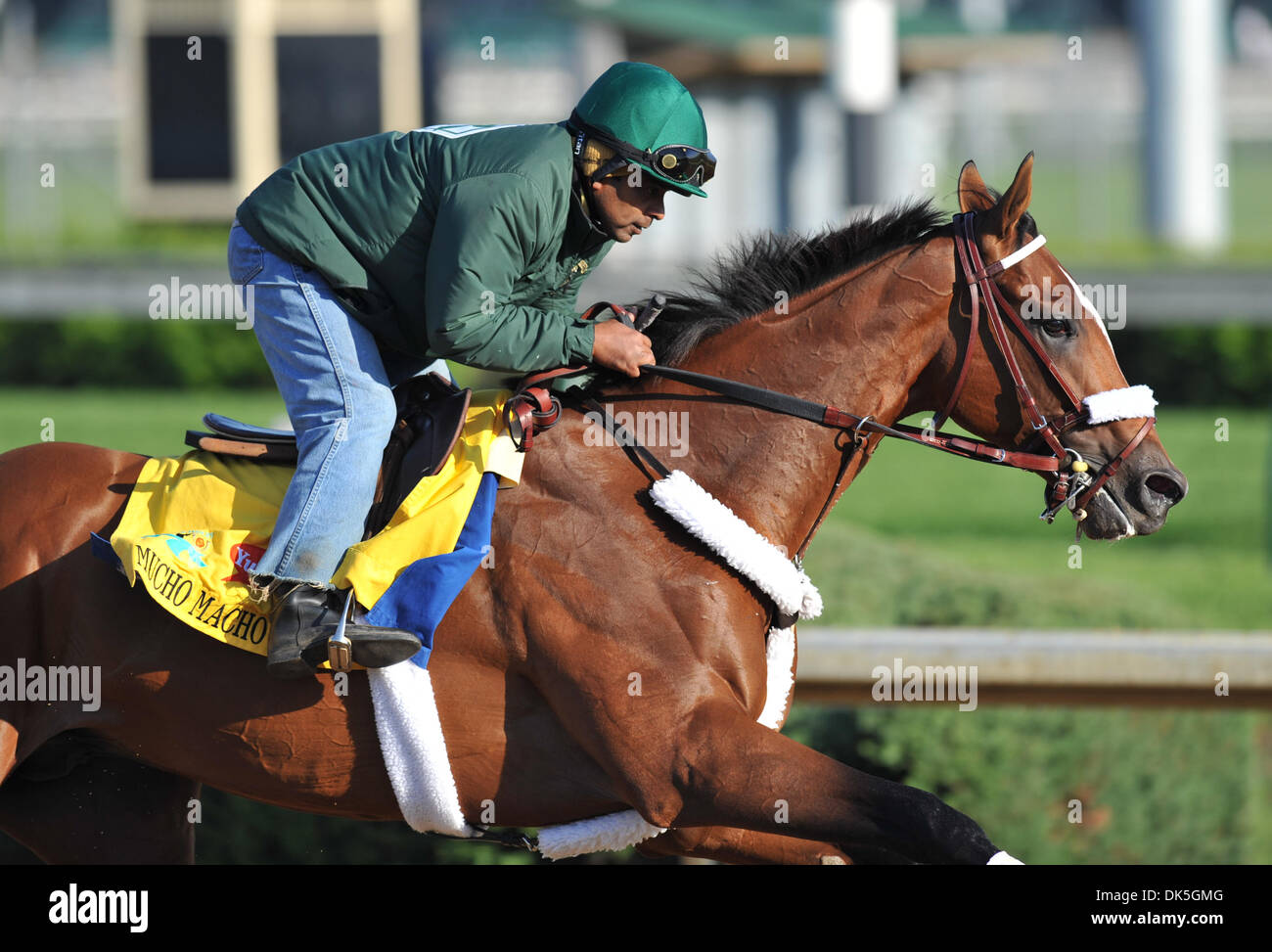 May 5, 2011 - Louisville, Kentucky, U.S. - Mucho Macho Man, trained by ...