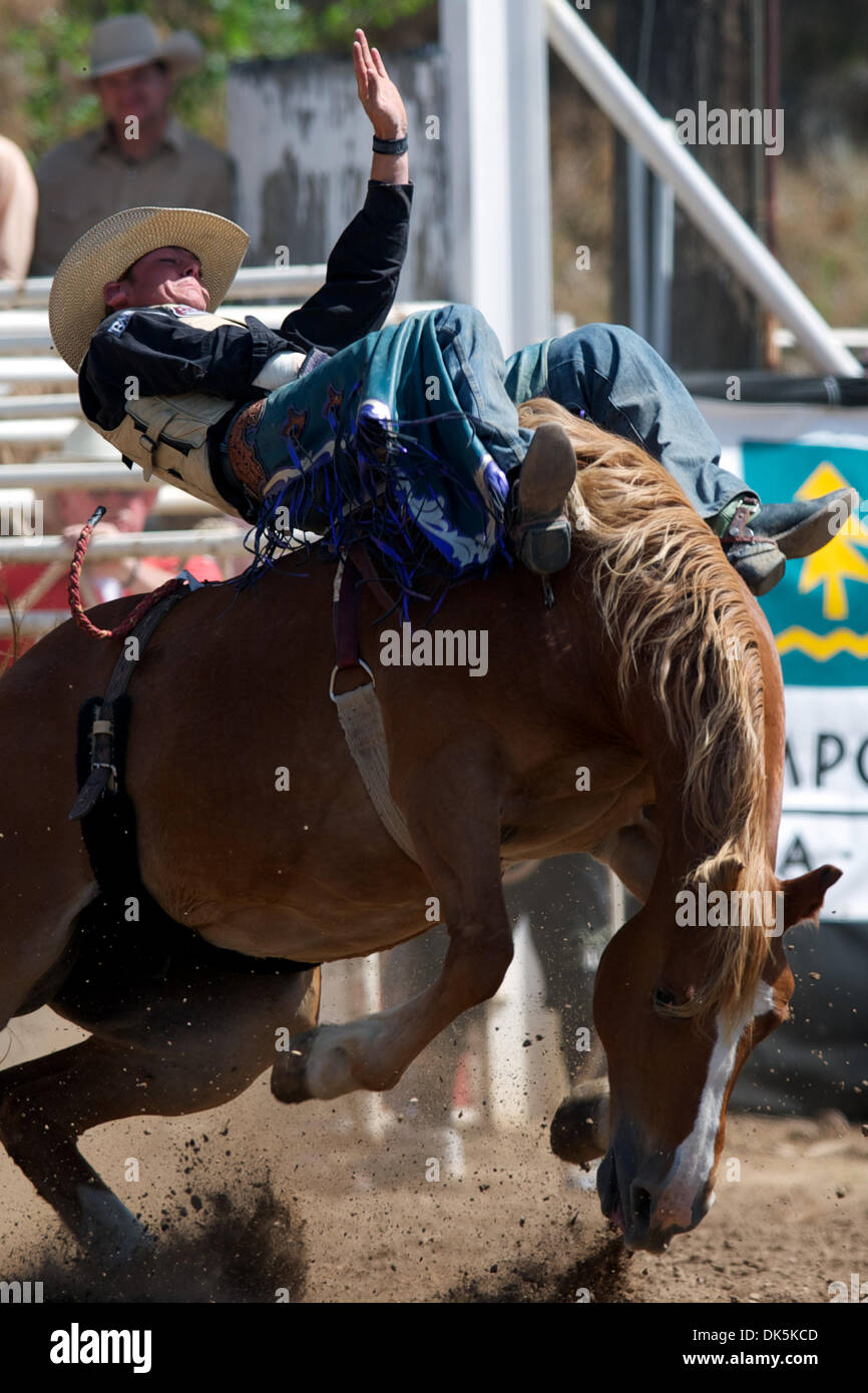 May 7, 2011 - Sonora, California, U.S - R. C. Landingham of Pendleton ...