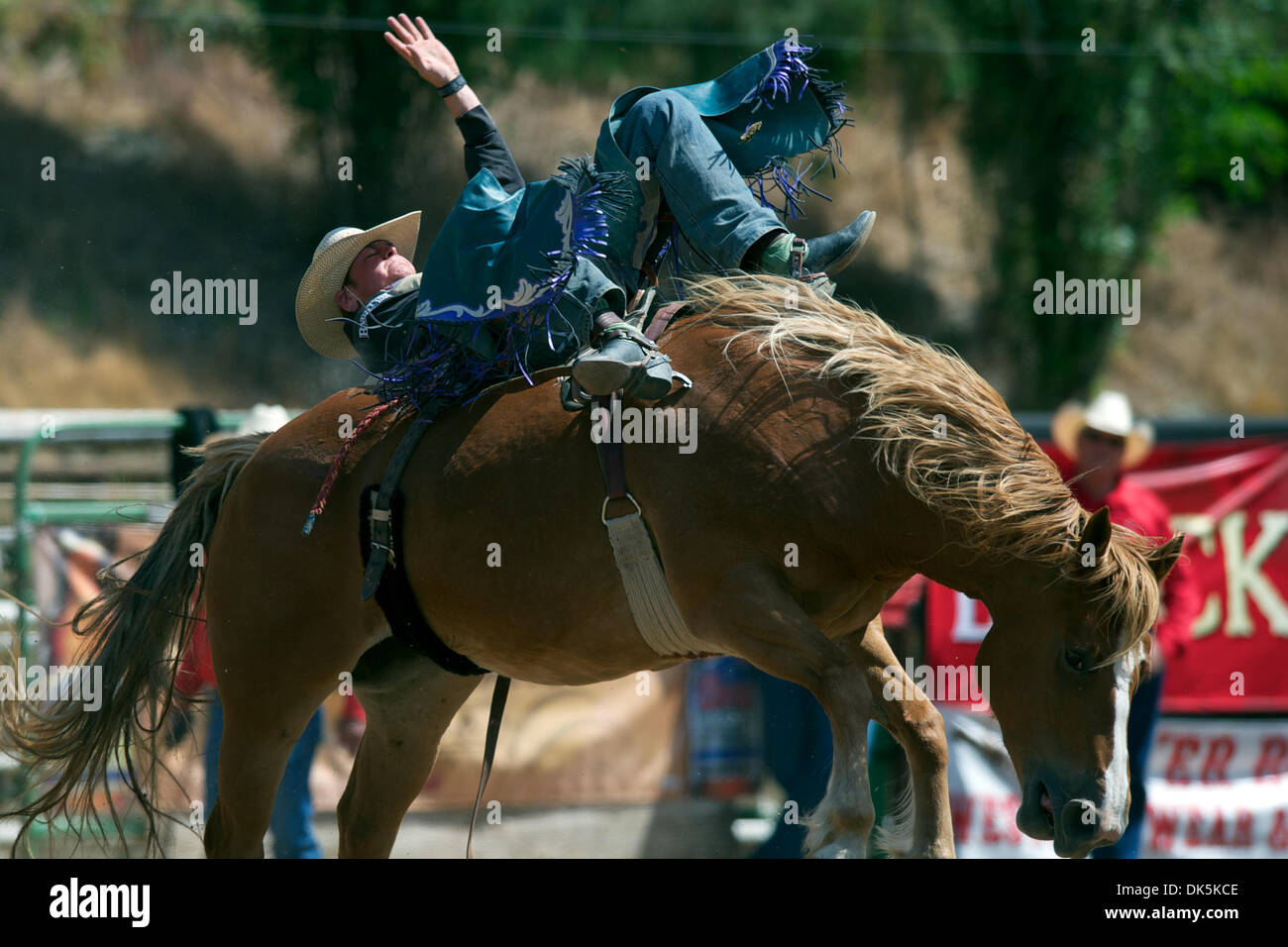May 7, 2011 - Sonora, California, U.S - R. C. Landingham of Pendleton ...