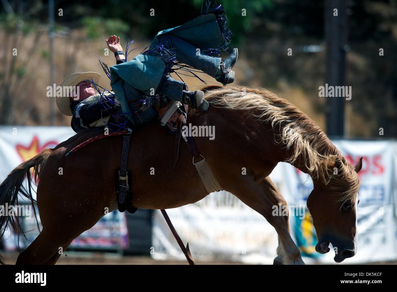 May 7, 2011 - Sonora, California, U.S - R. C. Landingham of Pendleton ...