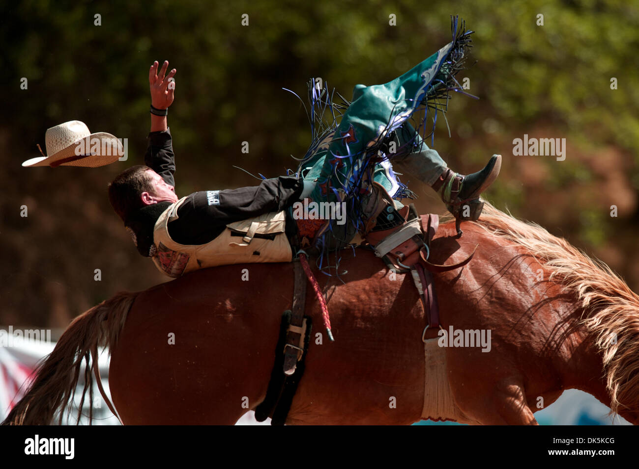 May 7, 2011 - Sonora, California, U.S - R. C. Landingham of Pendleton ...