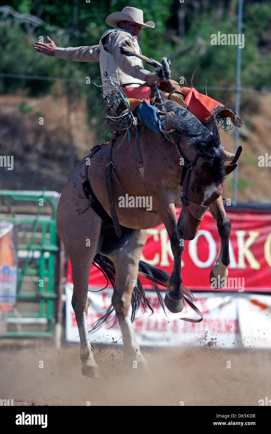 May 7, 2011 - Sonora, California, U.S - Chase Bennett of Payson, UT rides Bet On Me at the ...