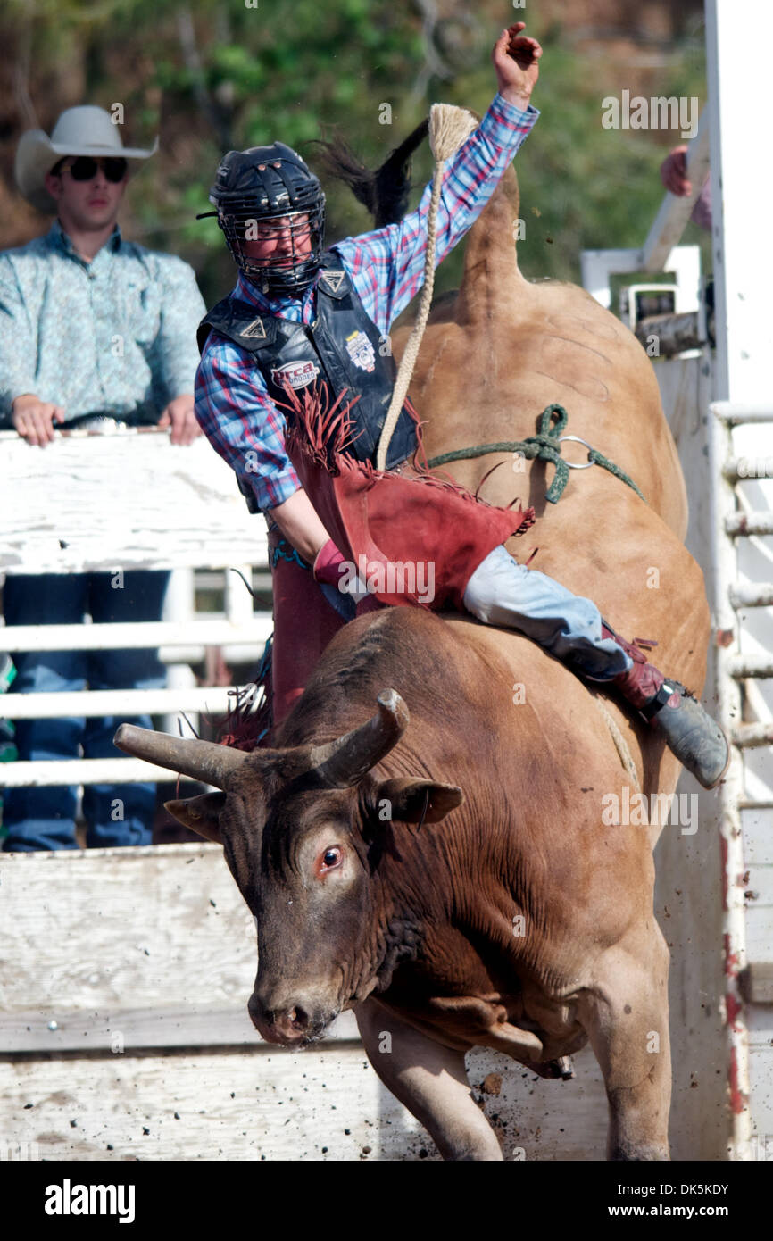 May 7, 2011 - Sonora, California, U.S - R.J. Kriege pf Prineville, OR ...