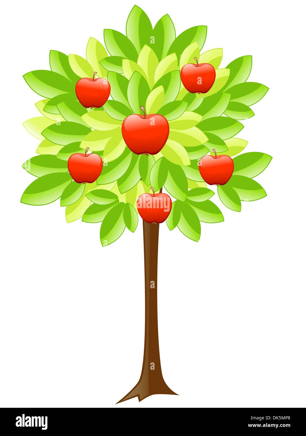 tree with green leaves and red apples Stock Vector Image & Art - Alamy