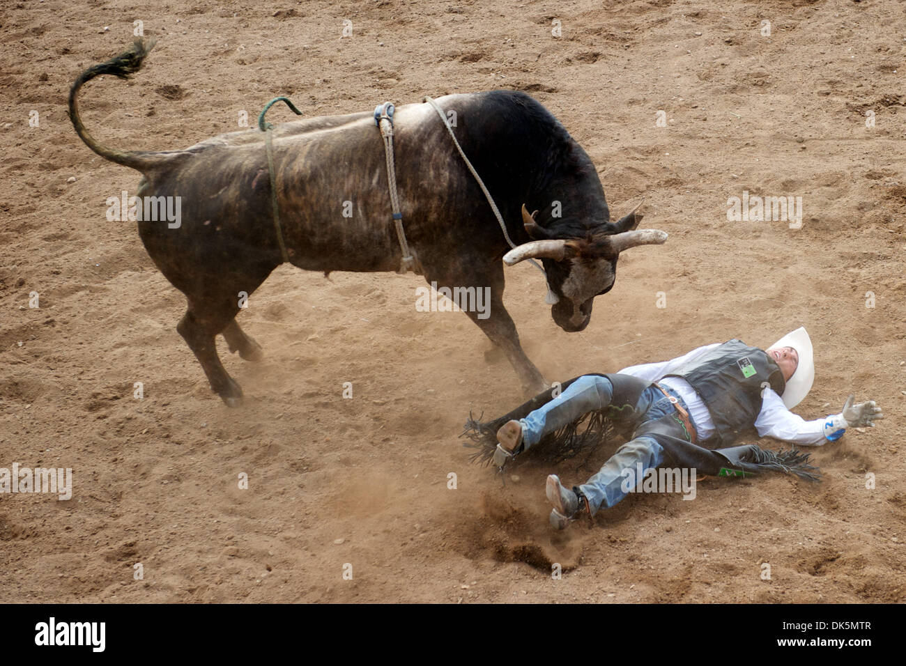 May 8, 2011 - Sonora, California, U.S - Zeb Lanham of Sweet, ID gets ...