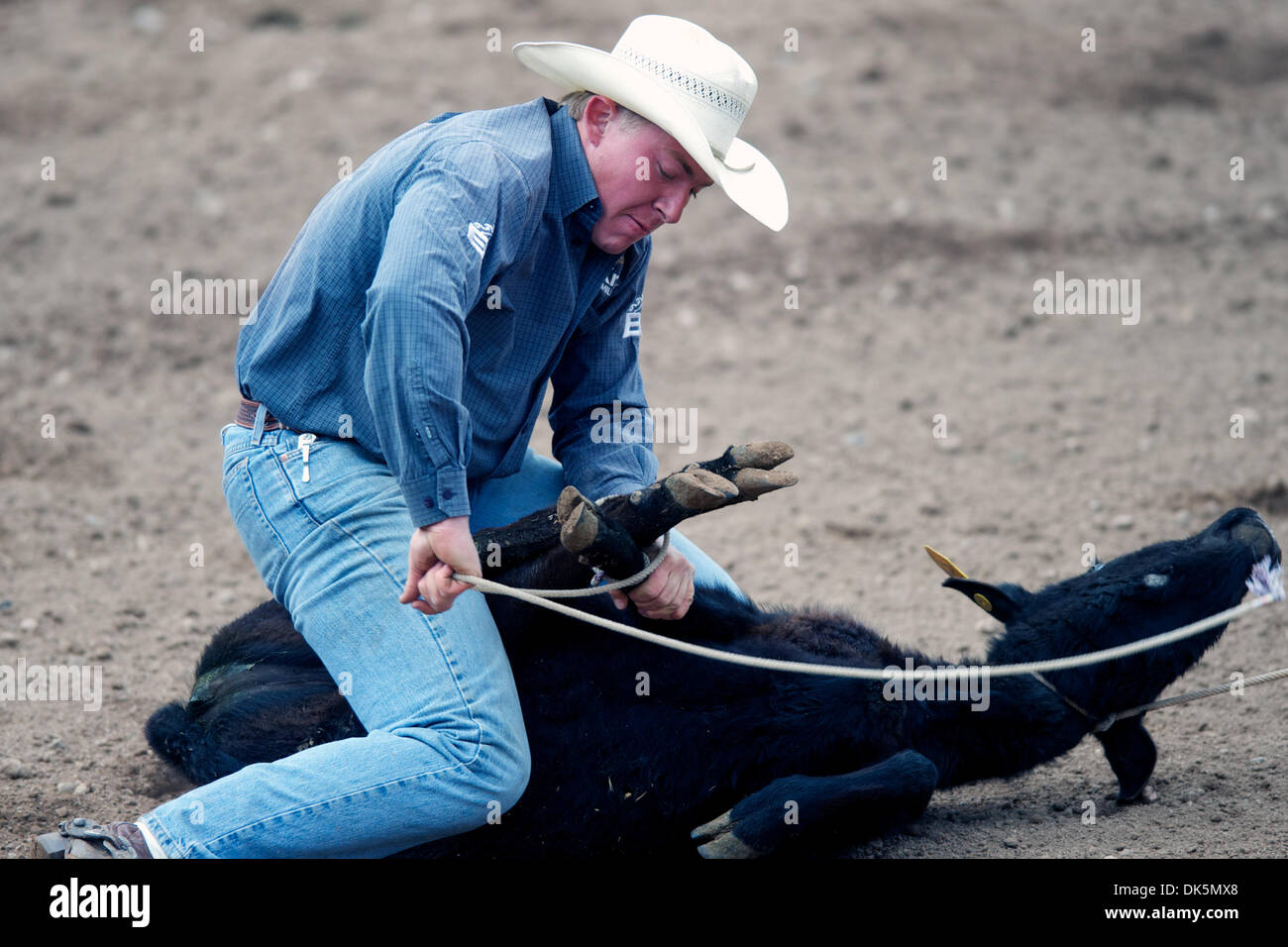 Mason cohen hi-res stock photography and images - Alamy